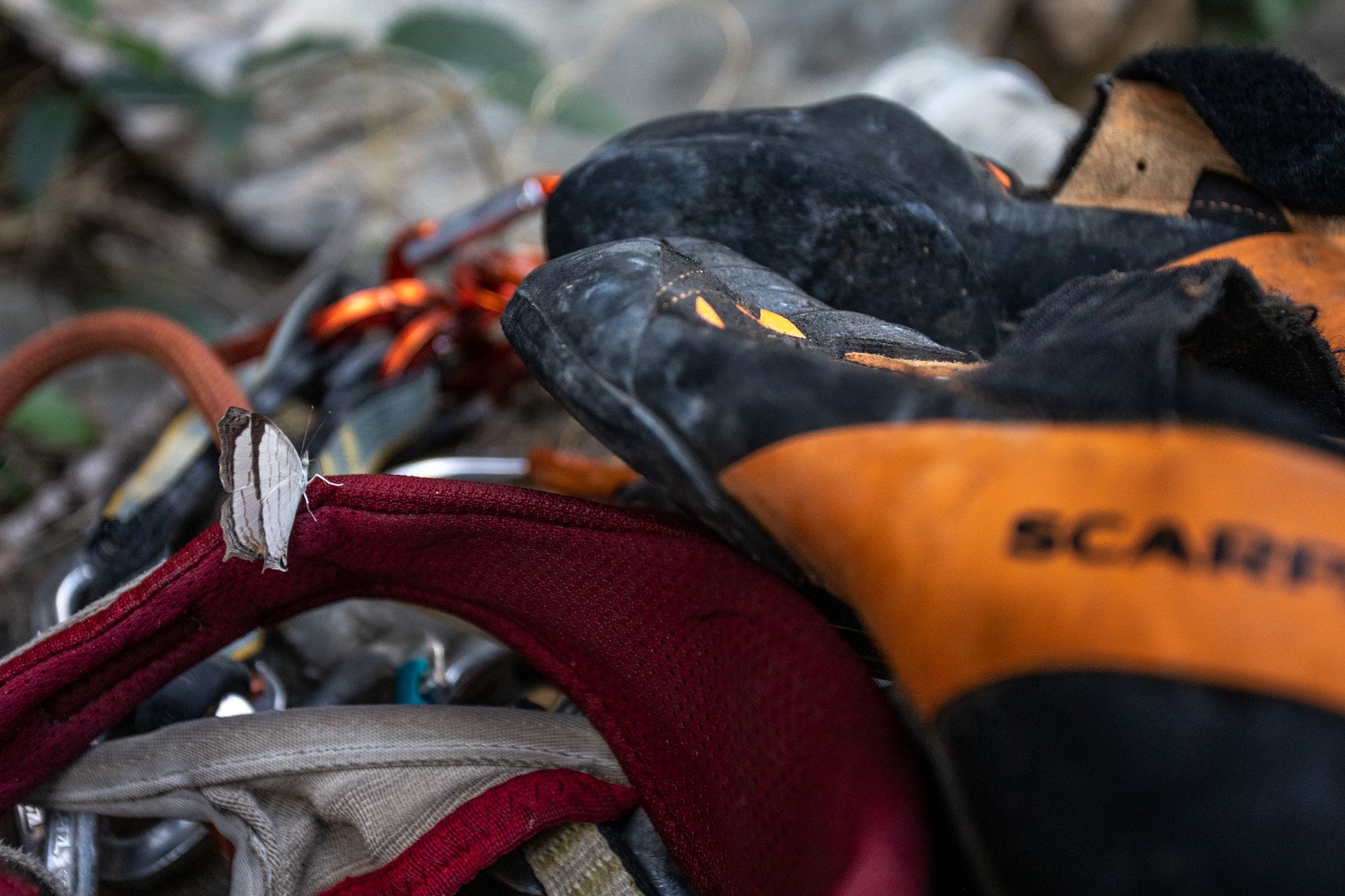 VietClimb | Climbing Gear | VietClimb